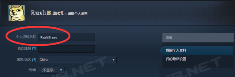 CSGO玩家名称/武器改名卡使用花体、斜体等特殊字体方法-CSGO RushB中文网