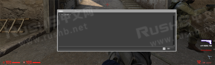 输入“net_graph 1”后没有显示PING、FPS等信息解决方法-CSGO RushB中文网